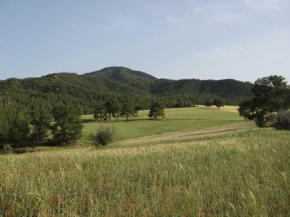 Green Olive Films | Production Services in Greece & Cyprus - Film ...