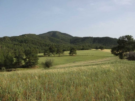 Green Olive Films | Production Services in Greece & Cyprus - Film ...